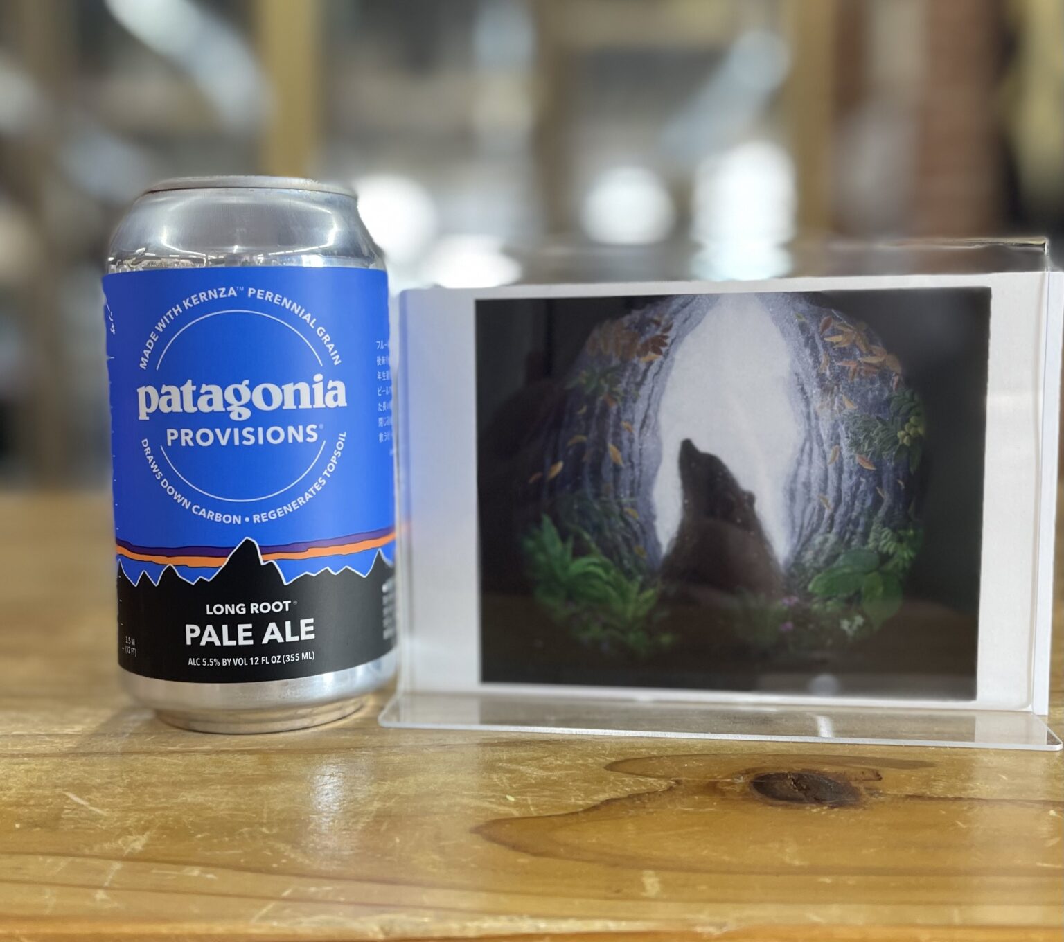 Patagoniaビール 4アイテム入荷しました！ ｜ アキモト酒店